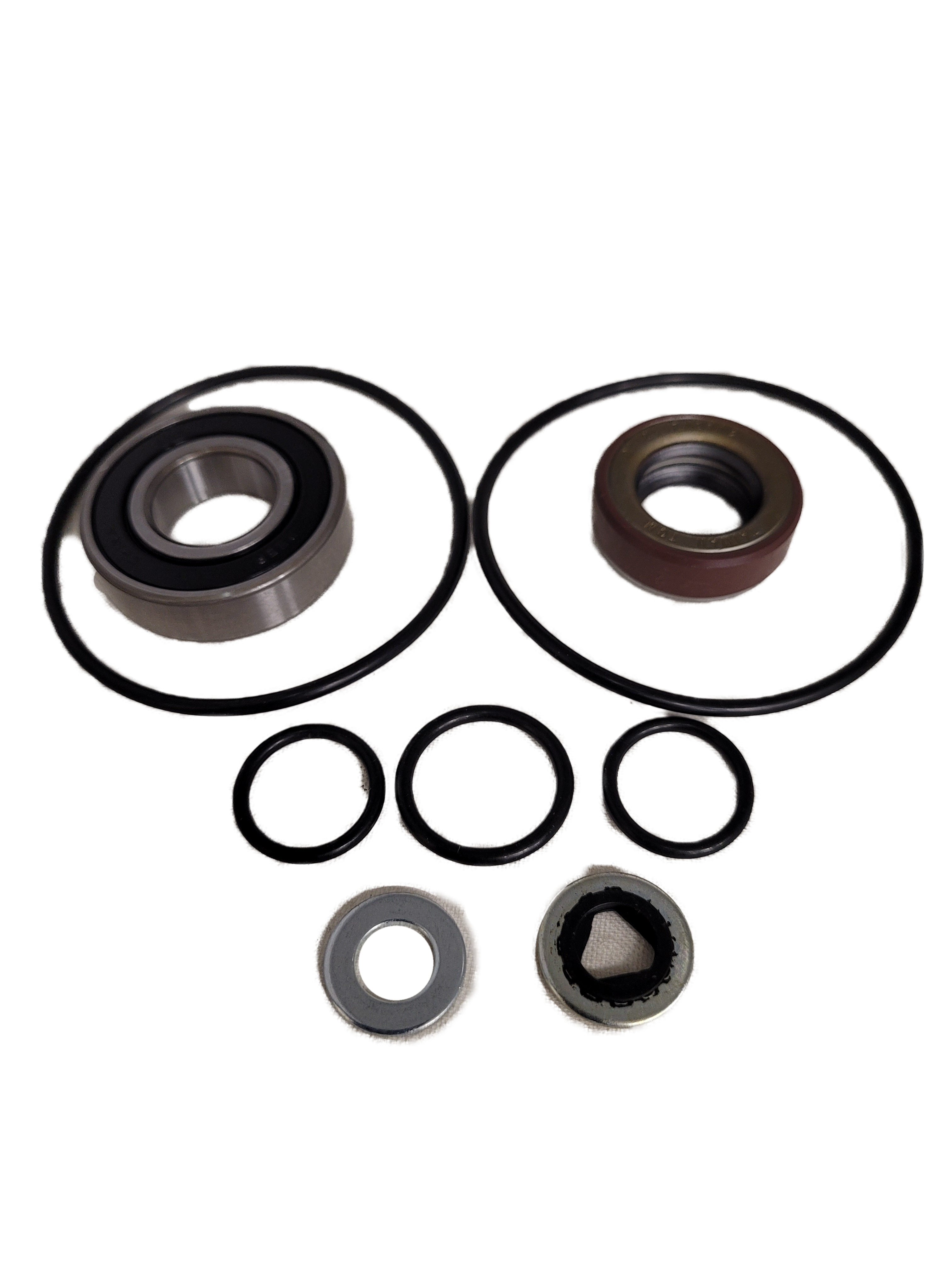 Hydraulic motor Seal kit for M10, M08, M05, M04 Hypro Force Field Pump